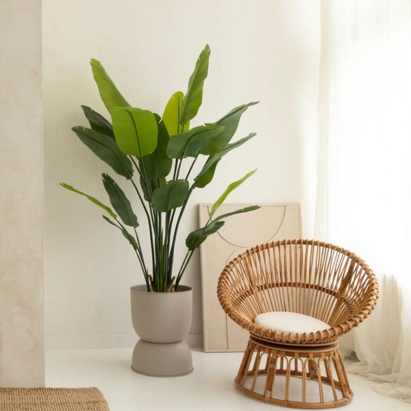 Planten & Potten Groothandel Online Groothandel | Orderchamp