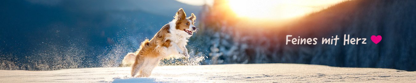 CARNELLO Online Wholesale | Orderchamp