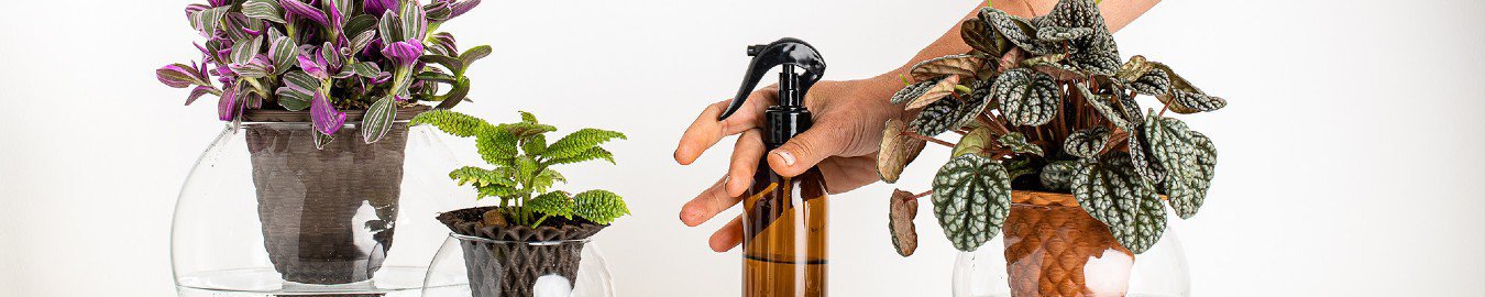 Common Place Online Wholesale | Orderchamp